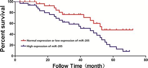 5‐year Survival Curves Of Breast Cancer Patients The 5‐year Survival