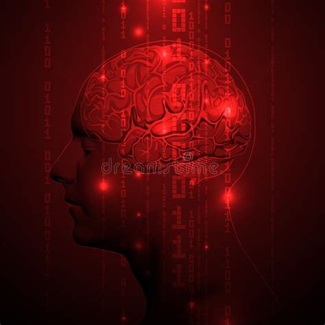 The Concept Of Active Human Brain With Binary Code Stock Vector Illustration Of Head Creative