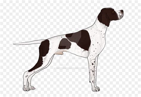 Free English Pointer Silhouette Download Free English Pointer