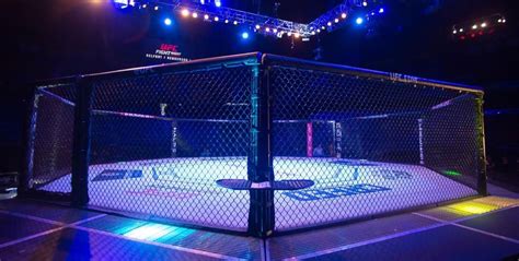 Nuevo Caso De Dopaje En La Ufc Clinch Ufc