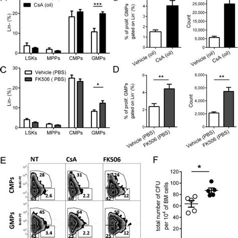 The Calcineurin Nuclear Factor Of Activated T Cells Nfat Pathway Is Download Scientific