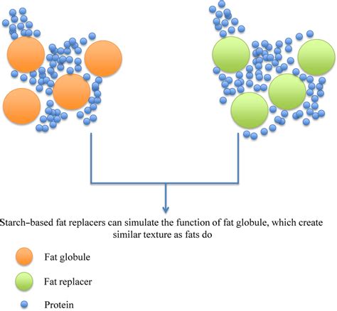 Presumed Functionality Of Starch‐based Fat Replacers Download