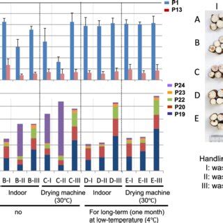 Contents Of 7 Components In The Roots Produced By 15 Kinds Of Download Scientific Diagram