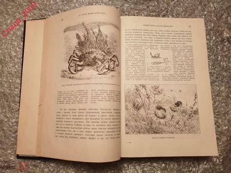 Книга Жизнь животных Брэм Том 1 Млекопитающие 1992