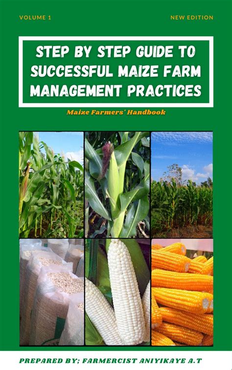 buy step by step guide to successful maize farm management practices by farmercist aniyikaye a t