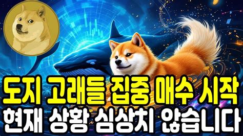 도지코인 전망 도지 고래들 집중 매수 시작업비트시황 코인시황 급등코인추천 도지코인대응 Youtube