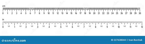 Size Indicators With Different Unit Scales Flat Vector Illustration