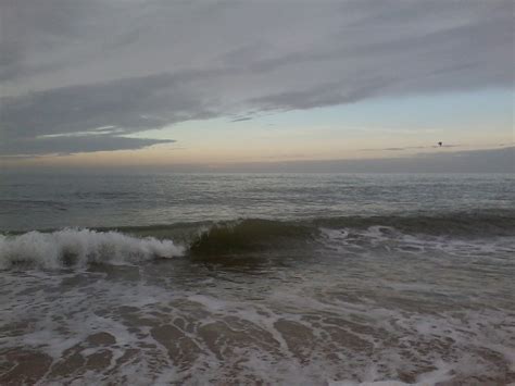 Kitty Lydia Dye Welcome To My Blog