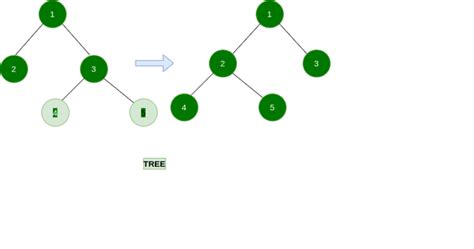 Tree In Data Structures And Algorithms Ntaugc Net