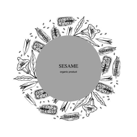 180개 이상의 참기름 스톡 일러스트 Royalty Free 벡터 그래픽 및 클립 아트 Istock