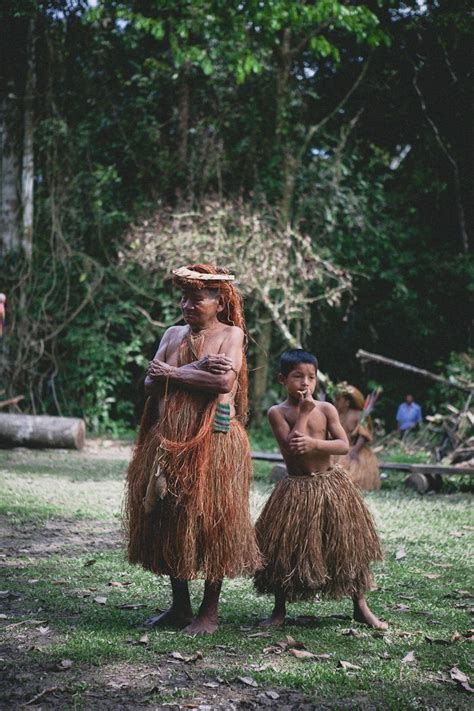 Uncontacted Tribes Of The Amazon Rainforest Rainforest 49 Off