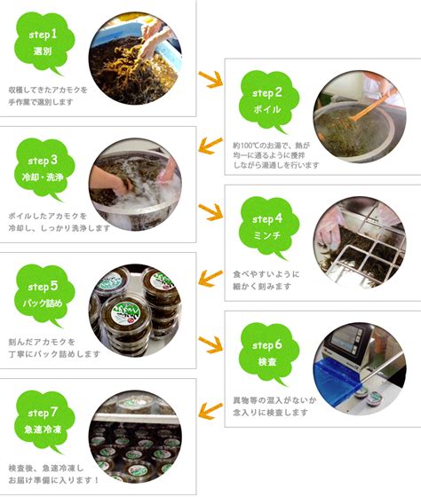 あかもくについて ケンコウかいそうjp（健康海藻） 熊本県天草にある海藻食品の専門店です。