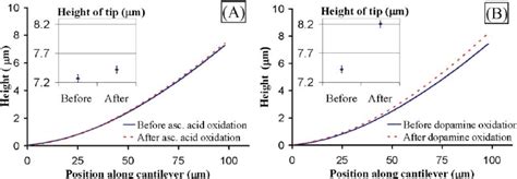A Response Of Cantilever With Chitosan To Ascorbic Acid Download