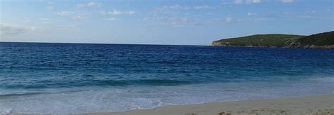 Wastewater Constituents Wastewater Why Not Treat