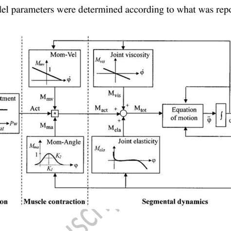 Schematic Of The Used Model As The Muscle Joint Dynamics Download Scientific Diagram