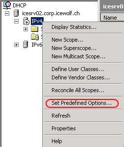 Adding New DHCP Options Icewolf Blog