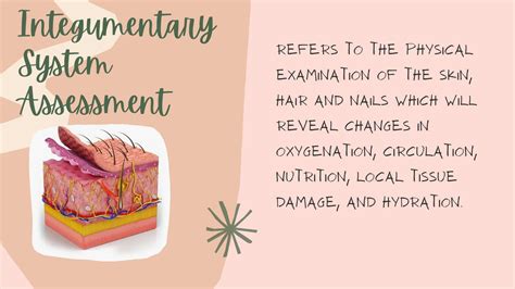 SOLUTION Integumentary System Assessment Lab Studypool