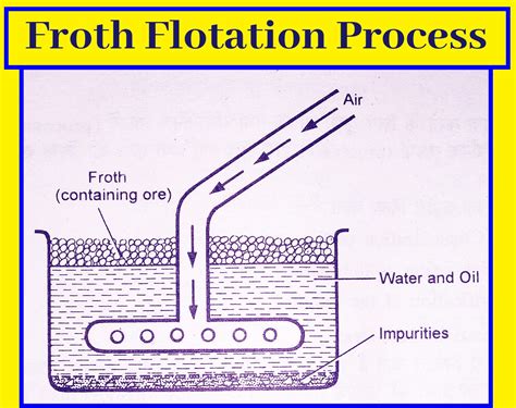 Froth Flotation Process