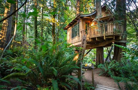 Stay At These 5 Treehouse Resorts Near Delhi For A Unique Holiday