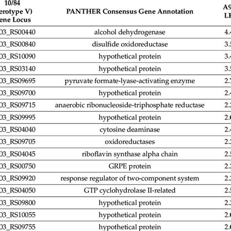 Rna Seq Of Two Gbs Strains Indicates Extensive Shared Transcriptome