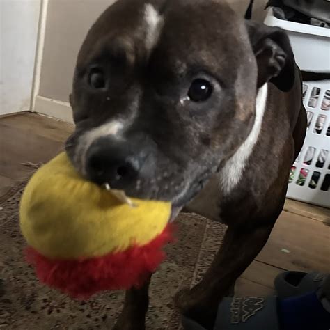 Summer Jayne Youtube