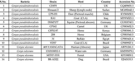 Details Of Rpob Gene Sequences Downloaded From Genbank Used For