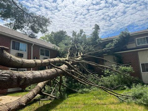 Large Pine Tree Collapses Onto Morris County Apartment Complex Fort