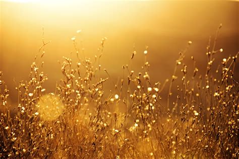 Warm Color Photography People