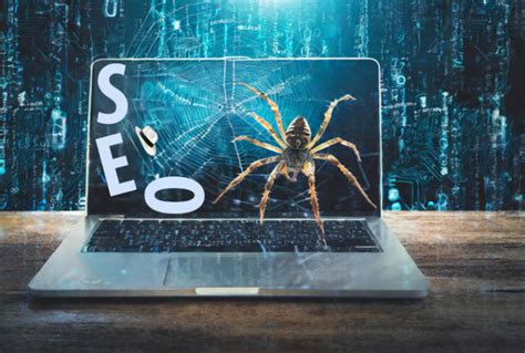 optimize wordpress laravel shopify website with white hat seo by