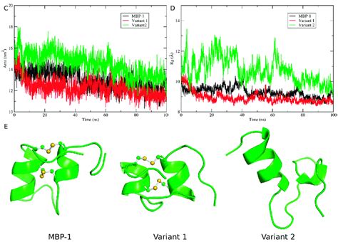 Analysis Of Molecular Dynamics Trajectories Of Mbp 1 Black Variant 1 Download Scientific