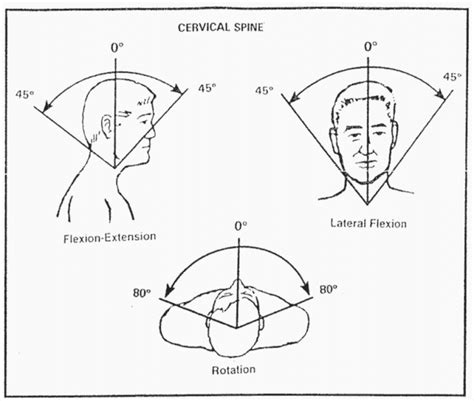 The Va Range Of Motion Chart Explained