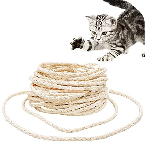 Cat Scratch Show The 15 Best Products Compared Wild Explained