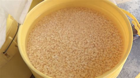 Panecitos De Maíz De Chiriquí Mi Patrimonio Mi Entorno