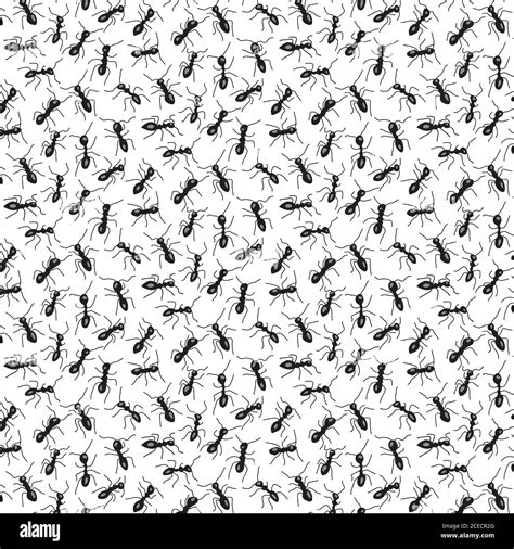 Pattern With Ants Stock Vector Image And Art Alamy