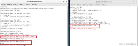 【docker】数据管理之数据卷的挂载数据卷挂载 Csdn博客