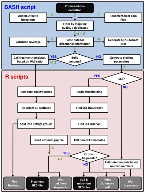 Ppt Command Line Execution Powerpoint Presentation Free Download