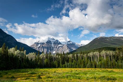 Hơn 1700 Mount Robson Provincial Park ảnh Hình Chụp And Hình ảnh Trả