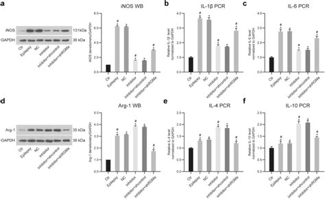 Inhibiting Mir 106b 5p Expression Promotes Microglia M2 Polarization