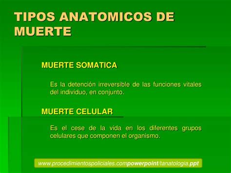 Ppt Muerte Y Tanatologia Powerpoint Presentation Id869351