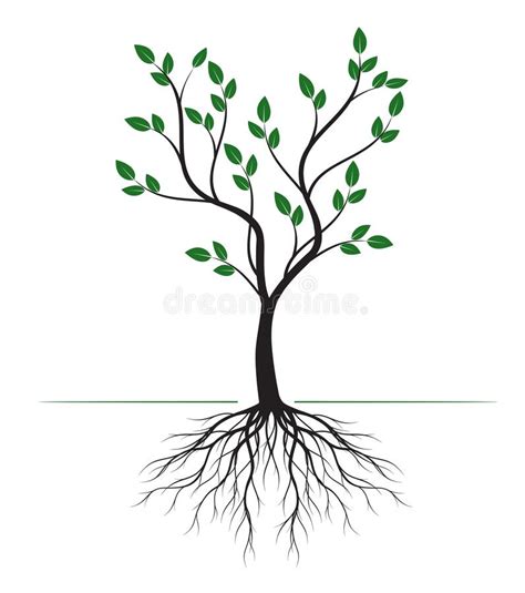 Set Of Trees Vector Outline Illustration Plant In Garden Stock Vector