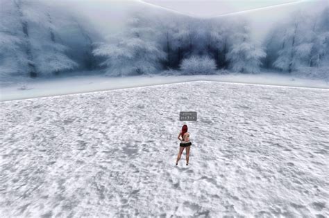 Second Life Marketplace Skybox Snow Trees Sky Fog