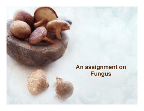 An Assignment On Fungi Assignments Microbiology Docsity