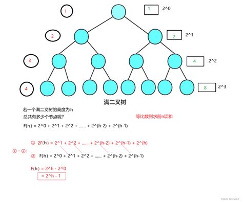 二叉树详解：概念、结构与应用 Csdn博客