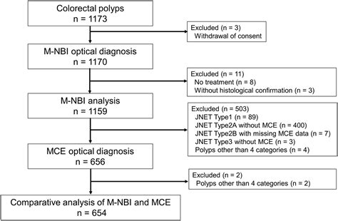 Diagnostic Value Of Adding Magnifying Chromoendoscopy To Magnifying