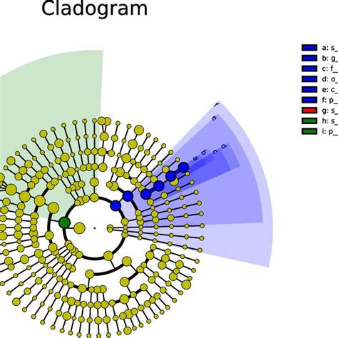 Cladogram Describing Differentially Abundant Vaginal Microbial Observed