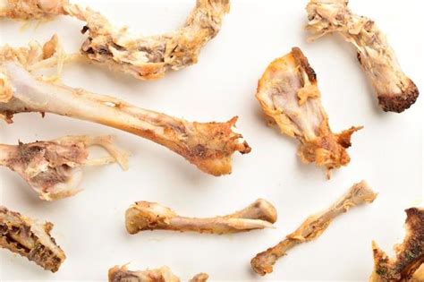 Do Chicken Bones Decompose The Surprising Truth Revealed Ap Pgecet