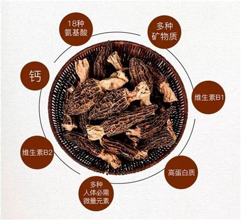 羊肚菌有六大功效，堪比冬虫夏草！ 知乎