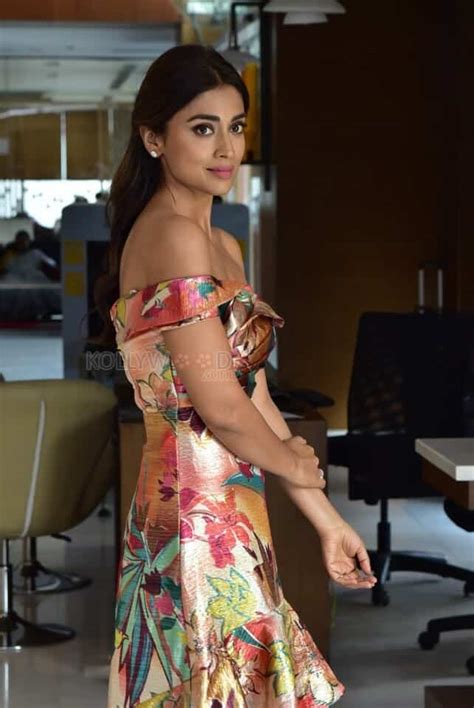 Actress Shriya Saran At Music School Interview Pictures 24 232383