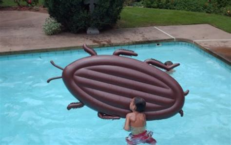 Bookofjoe Giant Cockroach Pool Float