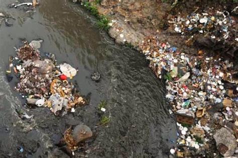 Principales Causas Y Consecuencias De La ContaminaciÓn Del Agua